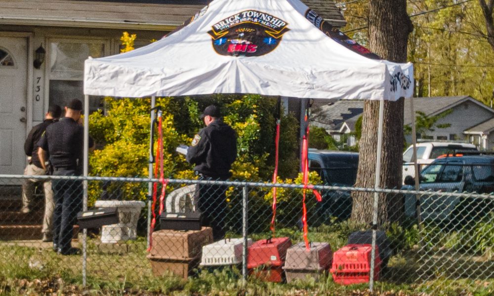 Brick Man Indicted on 149 Counts of Animal Cruelty in Hoarding Scenario ...